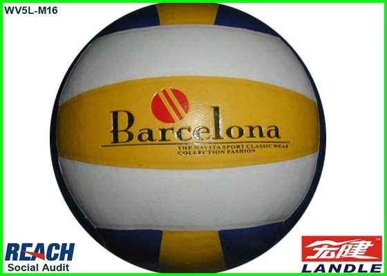 China Personalized Size 5 Sand Volleyball Ball Match Volley Ball for Youth supplier