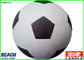 Black And White Soccer Team Balls supplier