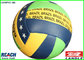 Colorful Volleyball Beach Ball supplier